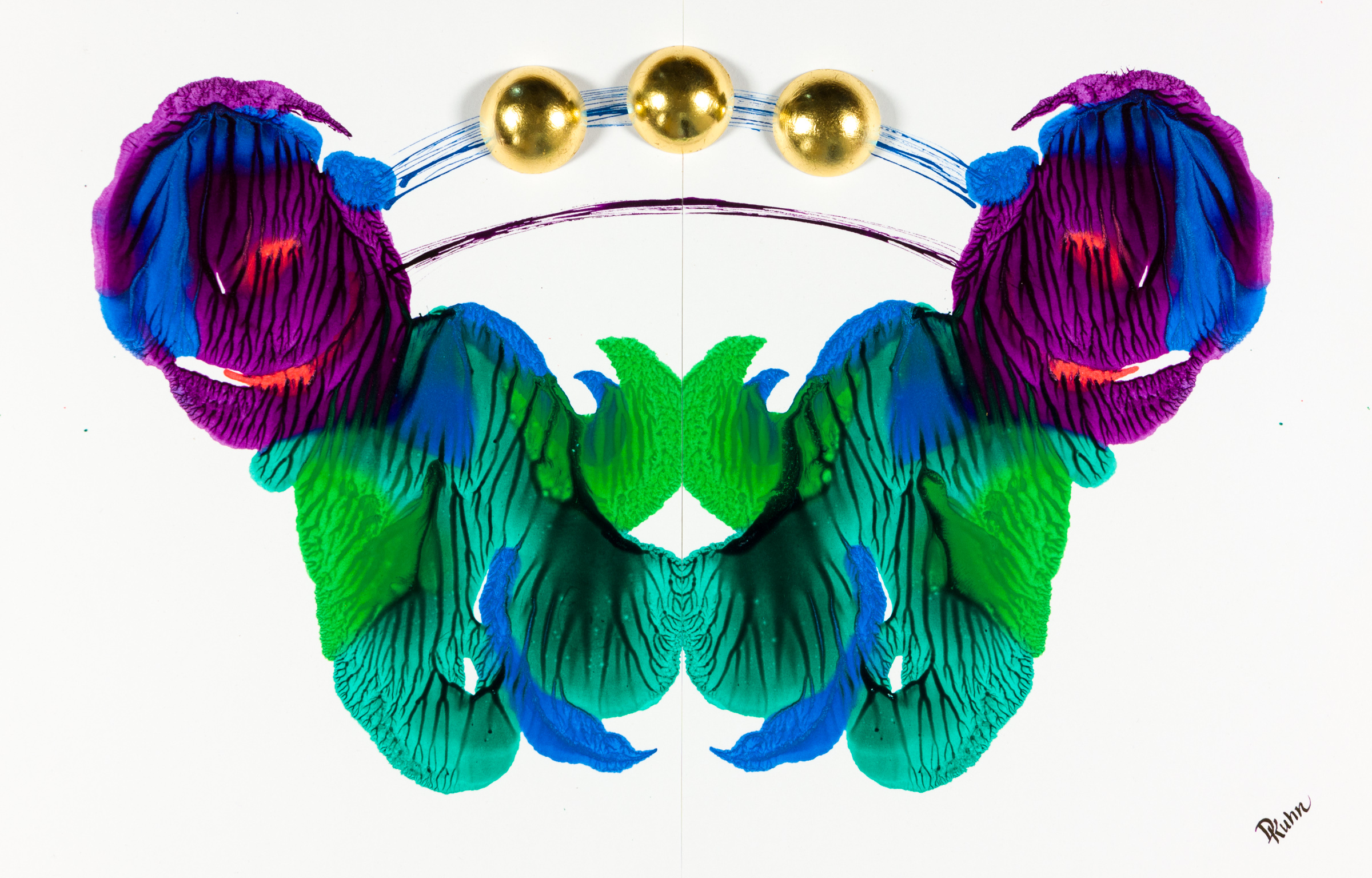 Dena Mara Kuhn - Symmetry of the Inner Eye